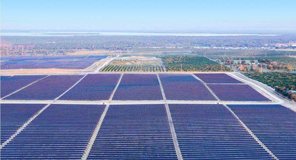 Photovoltaic power station/ground power station in Florida, USA - Jinmeit