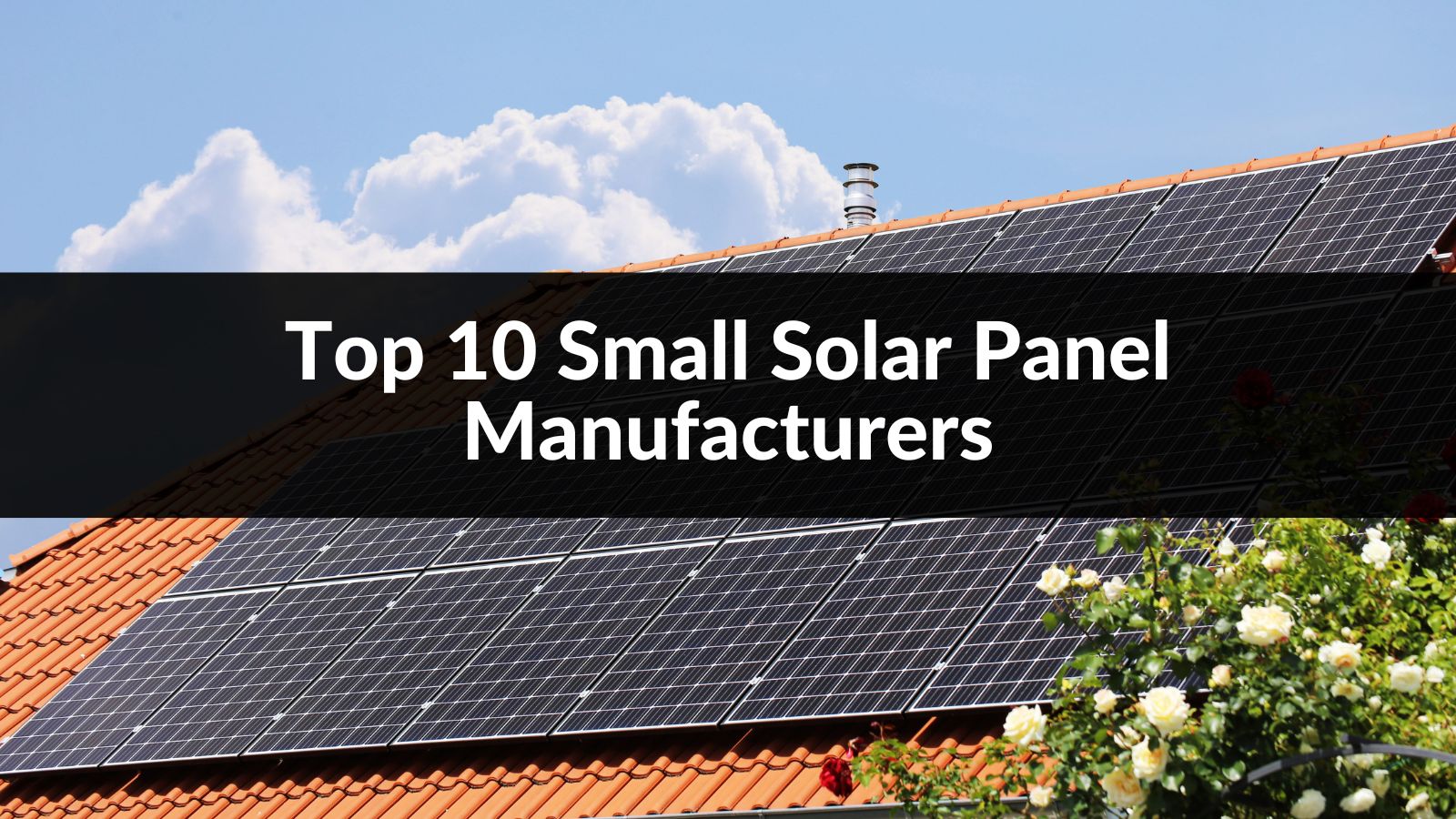 Top 10 Small Solar Panel Manufacturers in 2024